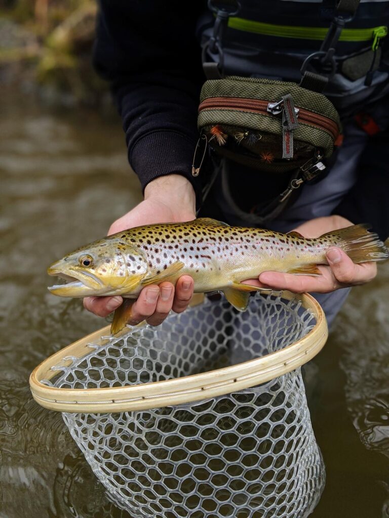 Fly Fishing Lessons in the Catskill Mountains Roscoe NY